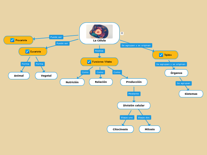La Célula - Mind Map